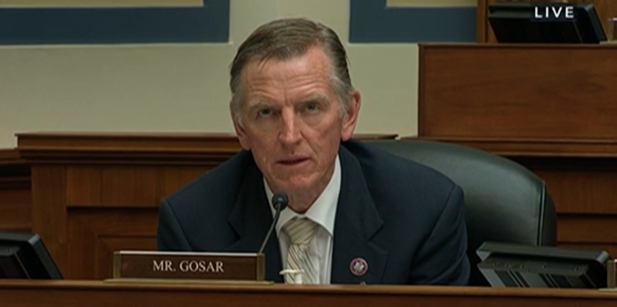 Paul Gosar Defends Anime Video: I Don't 'Espouse Violence'