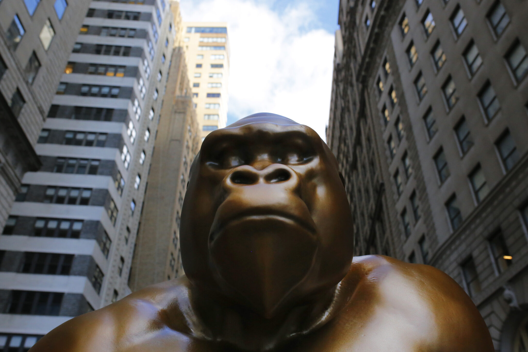 Harambe Statue Set Up Near Wall Street Charging Bull
