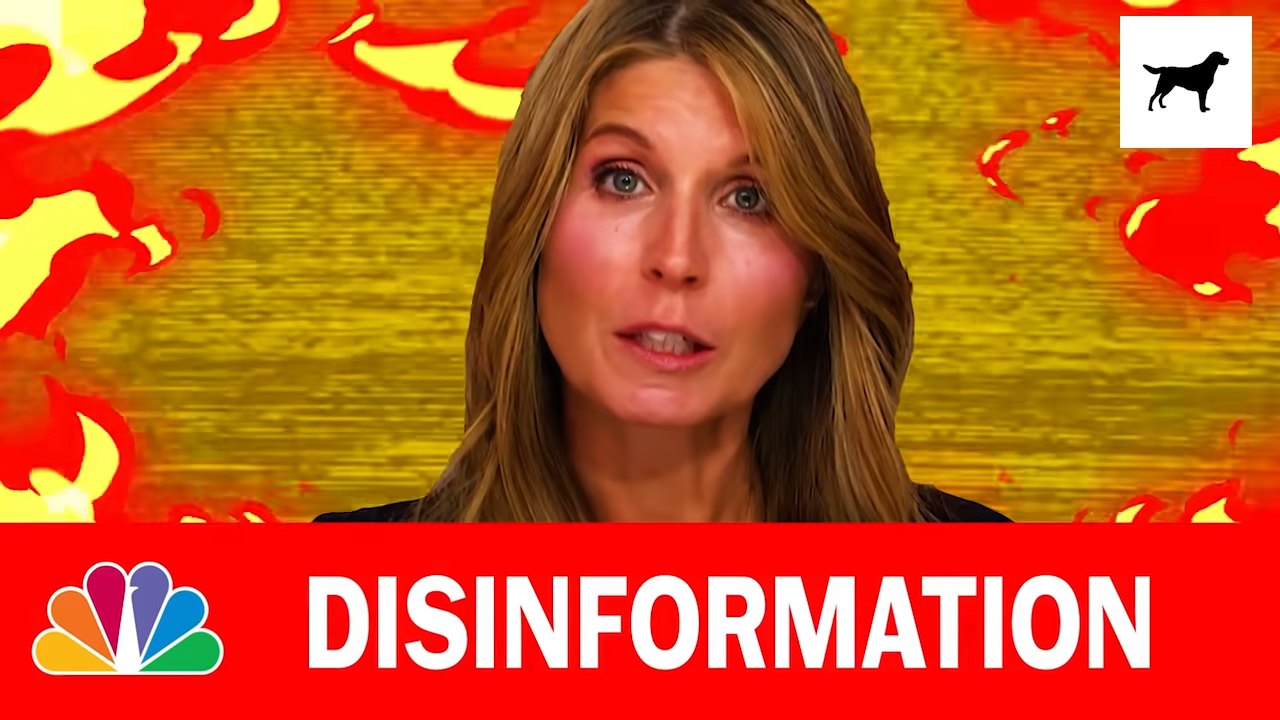 Glenn Greenwald Accuses MSNBC's Nicolle Wallace of Disinformation