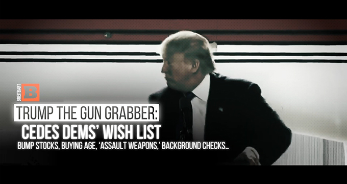 DeSantis PAC Blisters Trump on Second Amendment in Brutal Ad