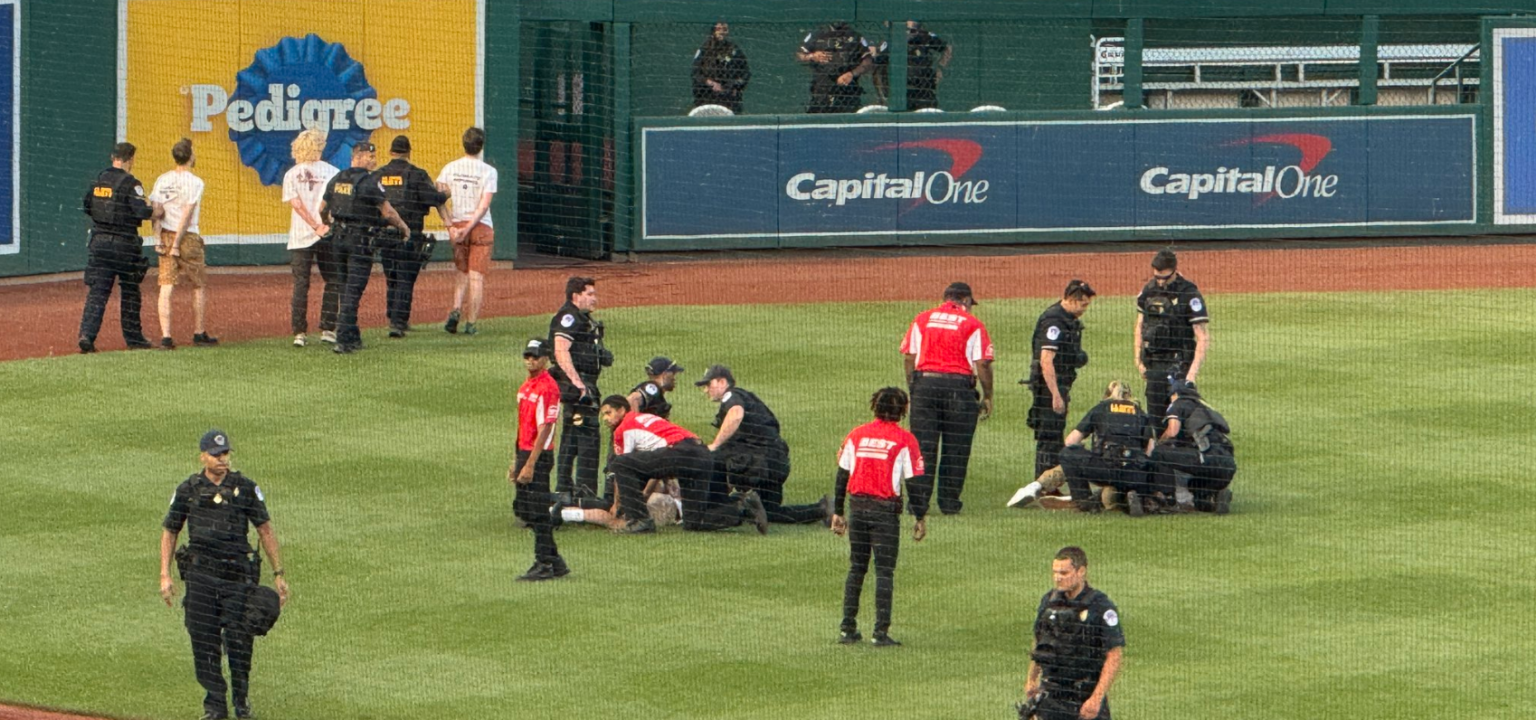Protesters Rush Field During Congressional Baseball Game