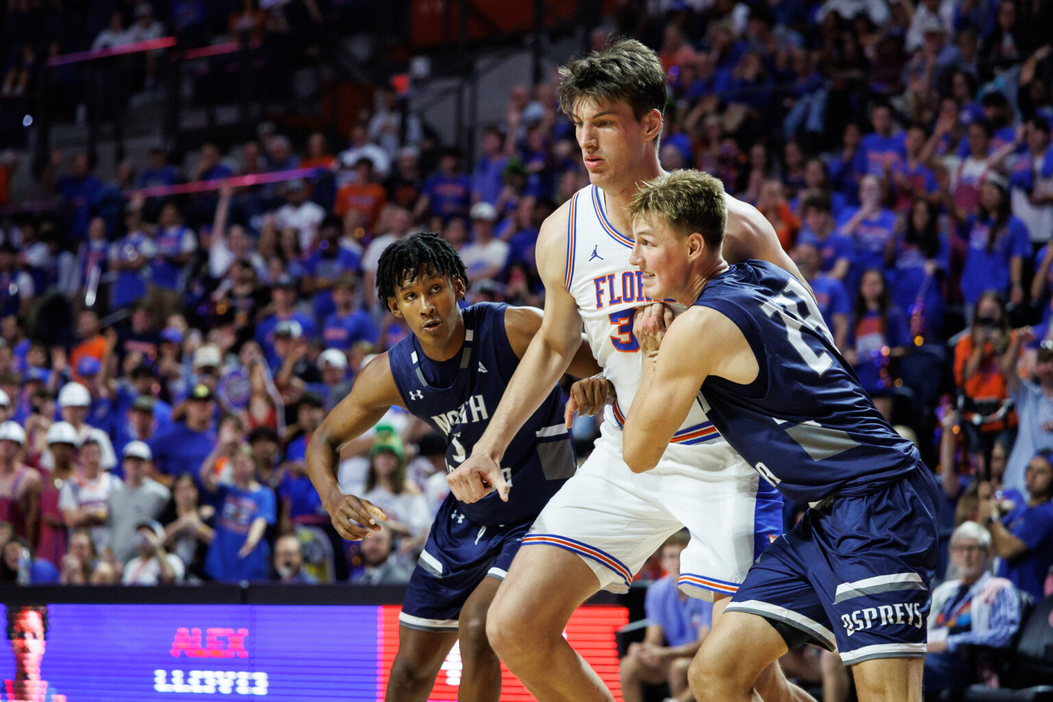 Florida's Olivier Rioux, 7'9" Tallest Basketball Player Ever